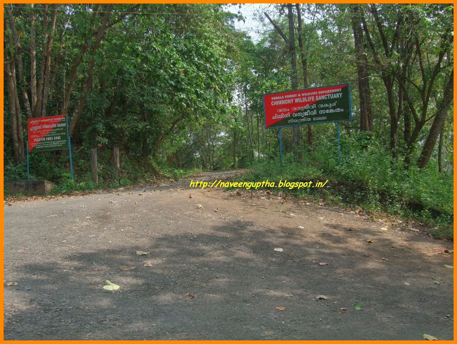 Exploring South India - Travel blog.....: Chimmony (or Chimmini ...