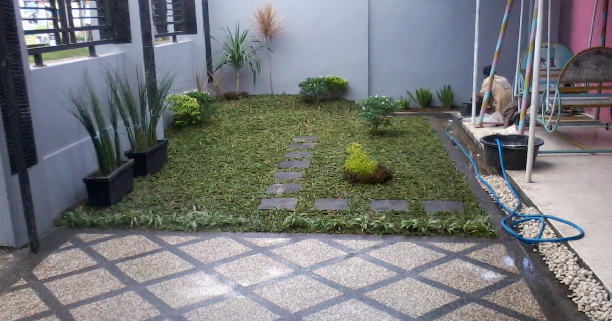 rumput yang bagus untuk taman mini Januari Tahun 2024 ~ JUAL RUMPUT ...