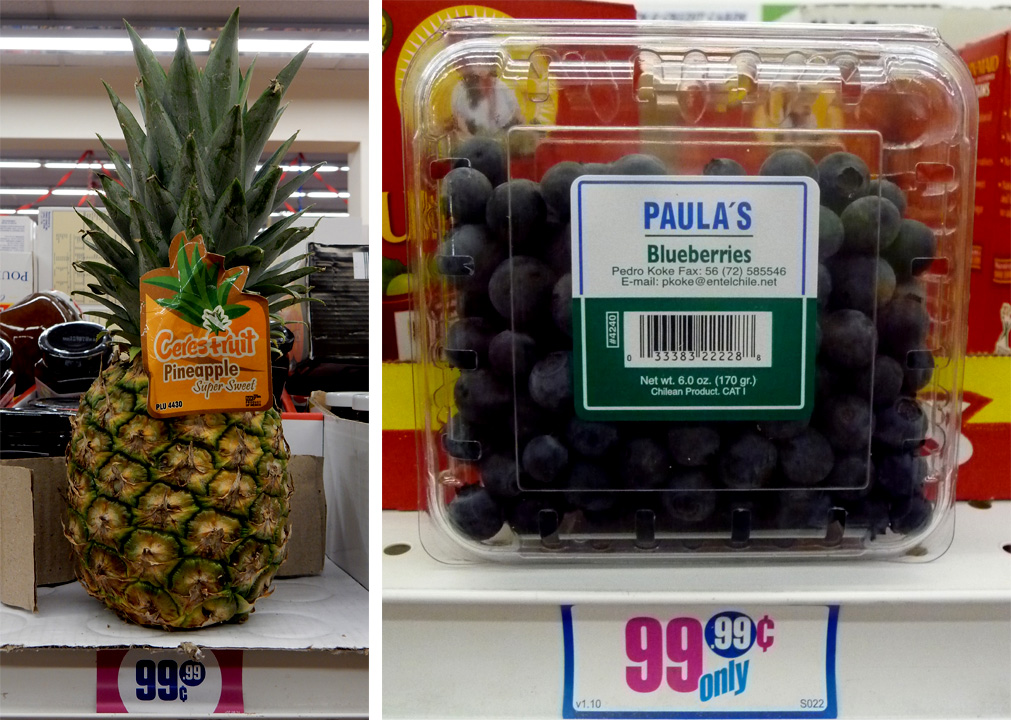 The 99 Cent Chef: Raspberries & Yogurt - Recipe Video