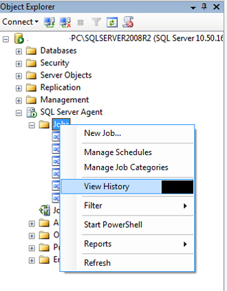 SQLCache: SQL Server Agent Jobs History