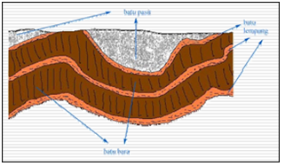 Geologist and Miner: Bentuk Bentuk Lapisan Batubara