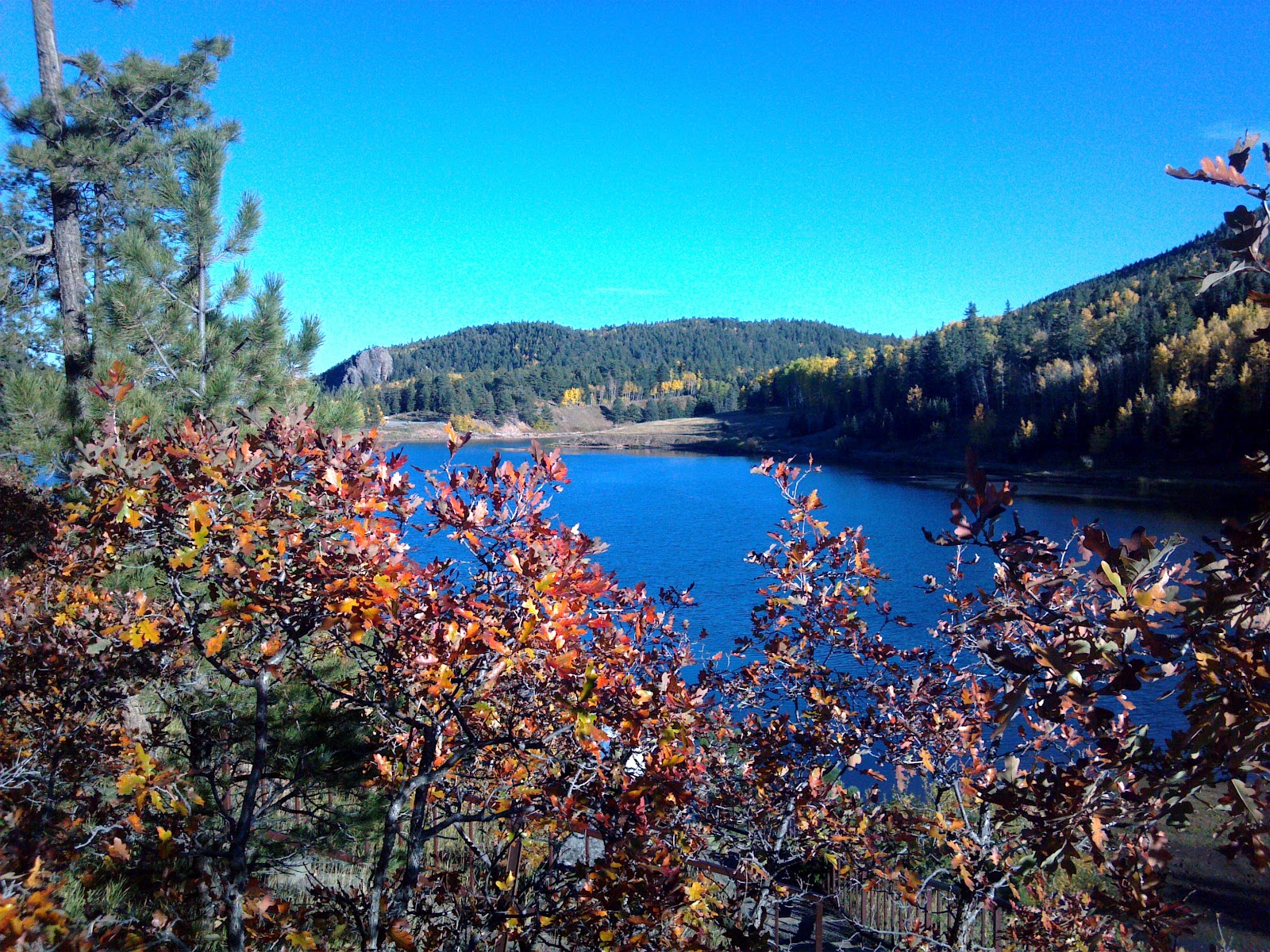 San Isabel Fall 2012 Photo Tour (Aspen, Colorado City: homes, live ...