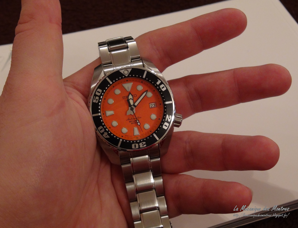 Revue Seiko SBDC005 : Un travail sur la carrure remarquable