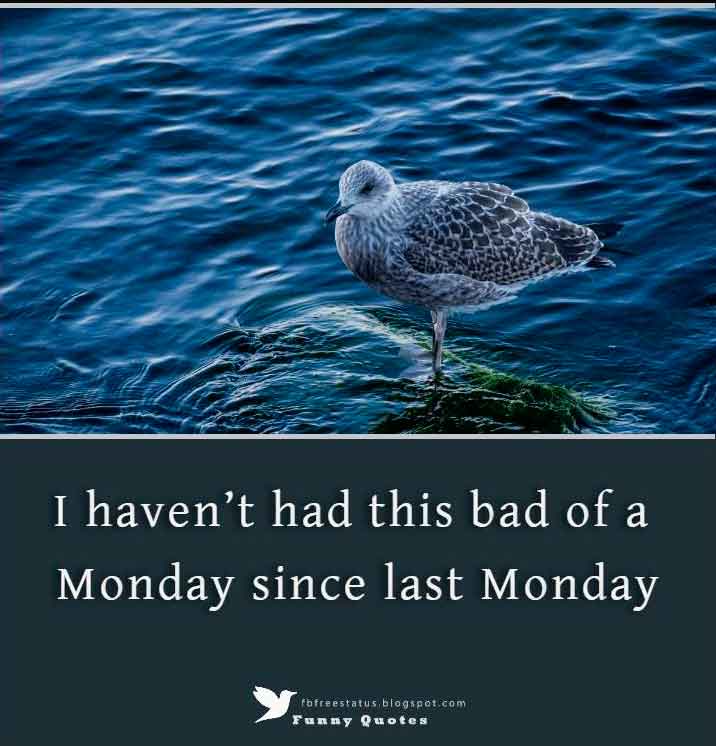 Motivational Monday Quotes to be Happy on Monday