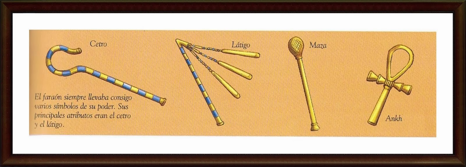 Sociarcas: Principales atributos de un faraón
