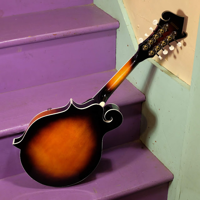 2000s Savannah SF-100 F-Style Mandolin