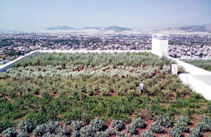 ΤΑΡΑΤΣΟΚΗΠΟΣ...Ο ΚΗΠΟΣ ΤΩΝ ΠΟΛΕΩΝ: Αυγούστου 2013