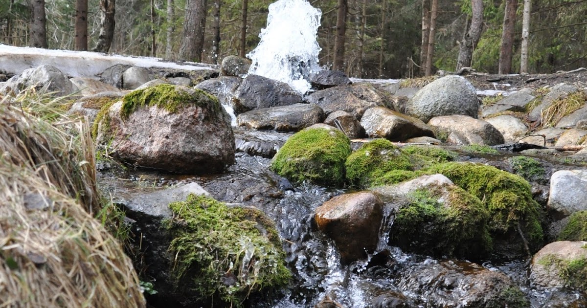 Endla looduskaitseala