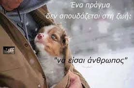 ΑΓΑΠΗ ΚΑΙ ΦΩΣ: Δεν είσαι άνθρωπος…..!!!!!!