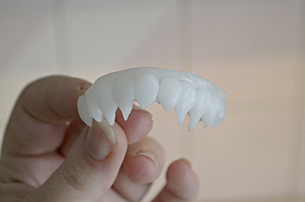 A world of creativity: Polymorph Teeth Walkthrough