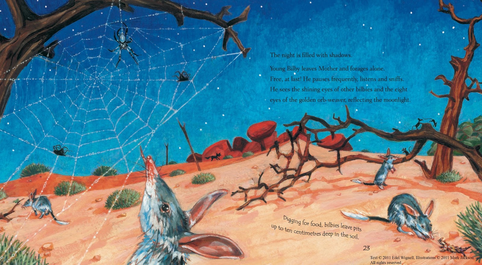 We Believe in Picture Books: Celebrate Easter with a Bilby!