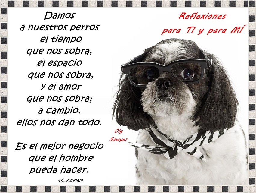 Reflexiones para TI y para MÍ: // Damos a nuestros perros el tiempo que ...