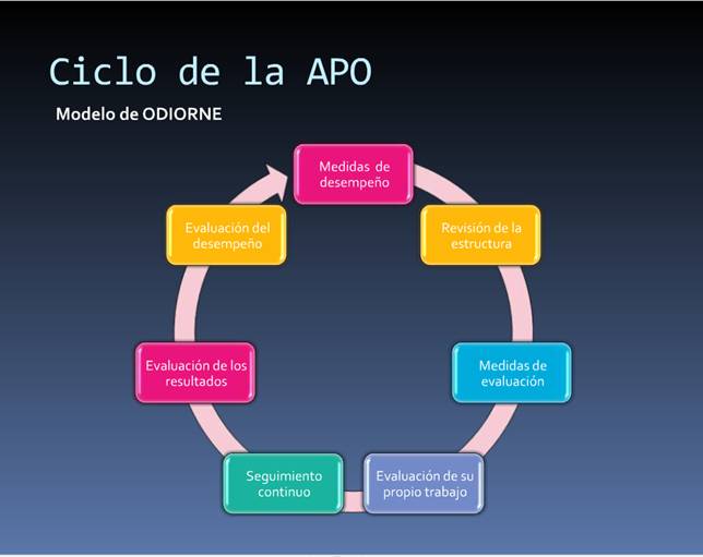 APO: Desarrollo de la APO