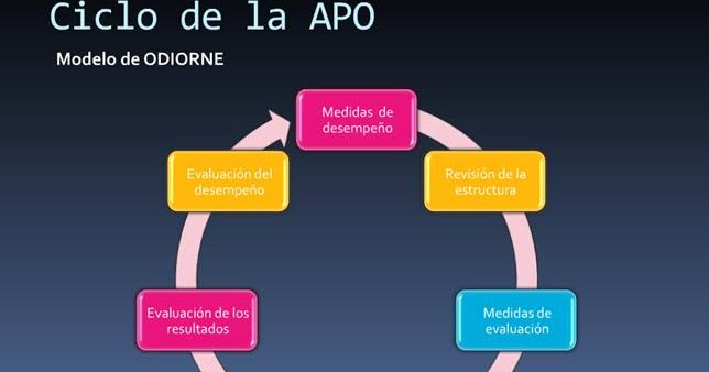 APO: Desarrollo de la APO