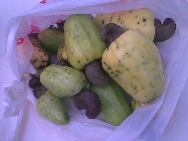 Noriesya: KEUNIKAN DAN KEENAKKAN JAMBU GAJUS