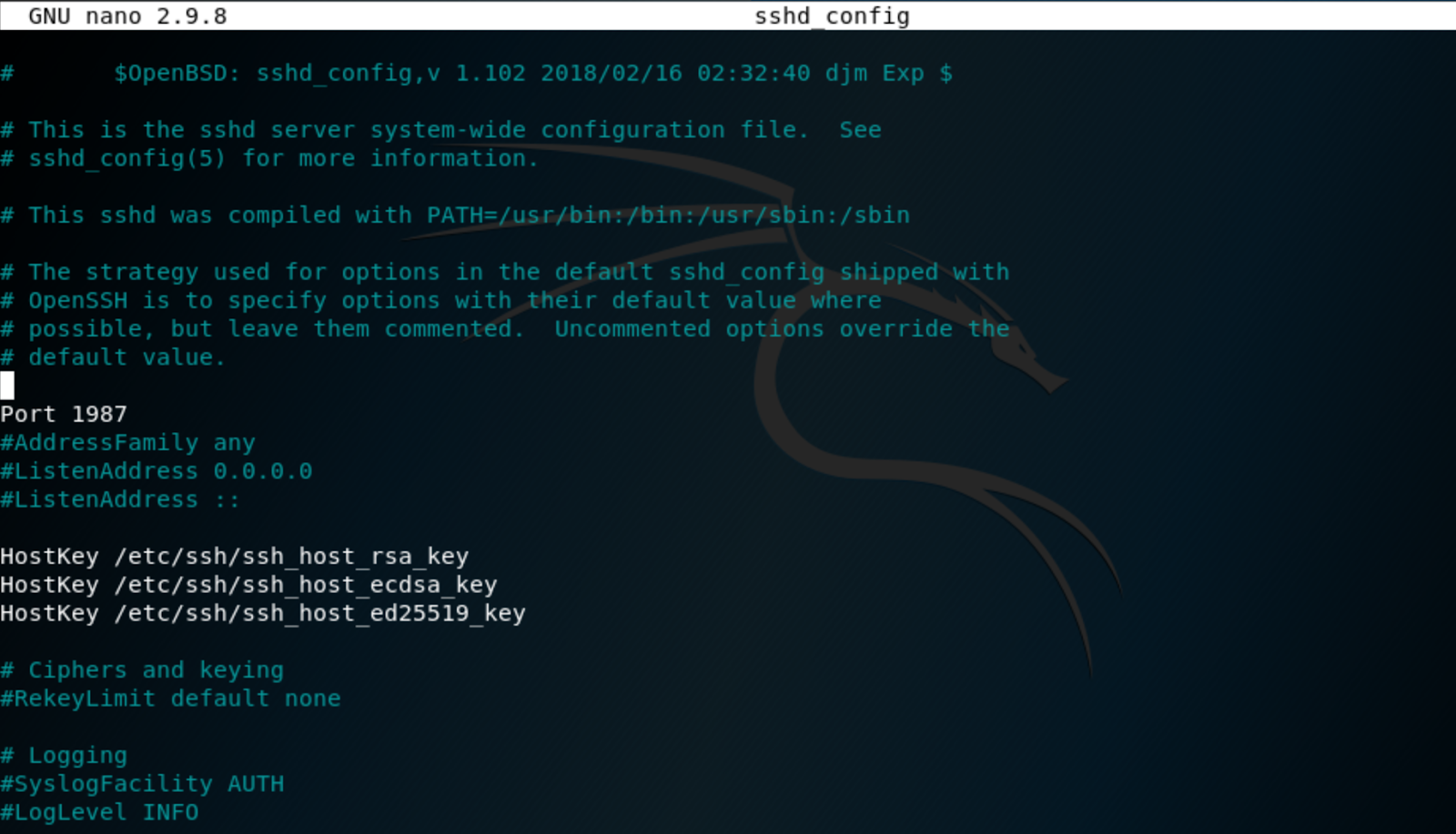 How to Setting SSH Server on Kali Linux ~ IT dan Security Audit