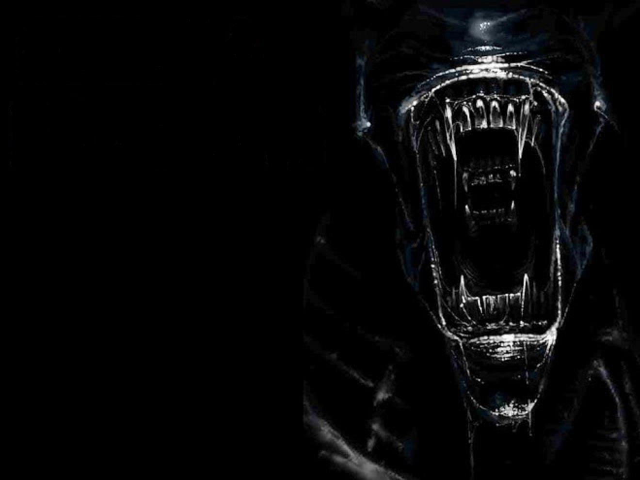 Cineptimo Arte: ALIENS (Xenomorfos)
