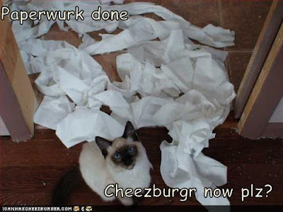 Wonderful Cars: Animal Humor, Cats