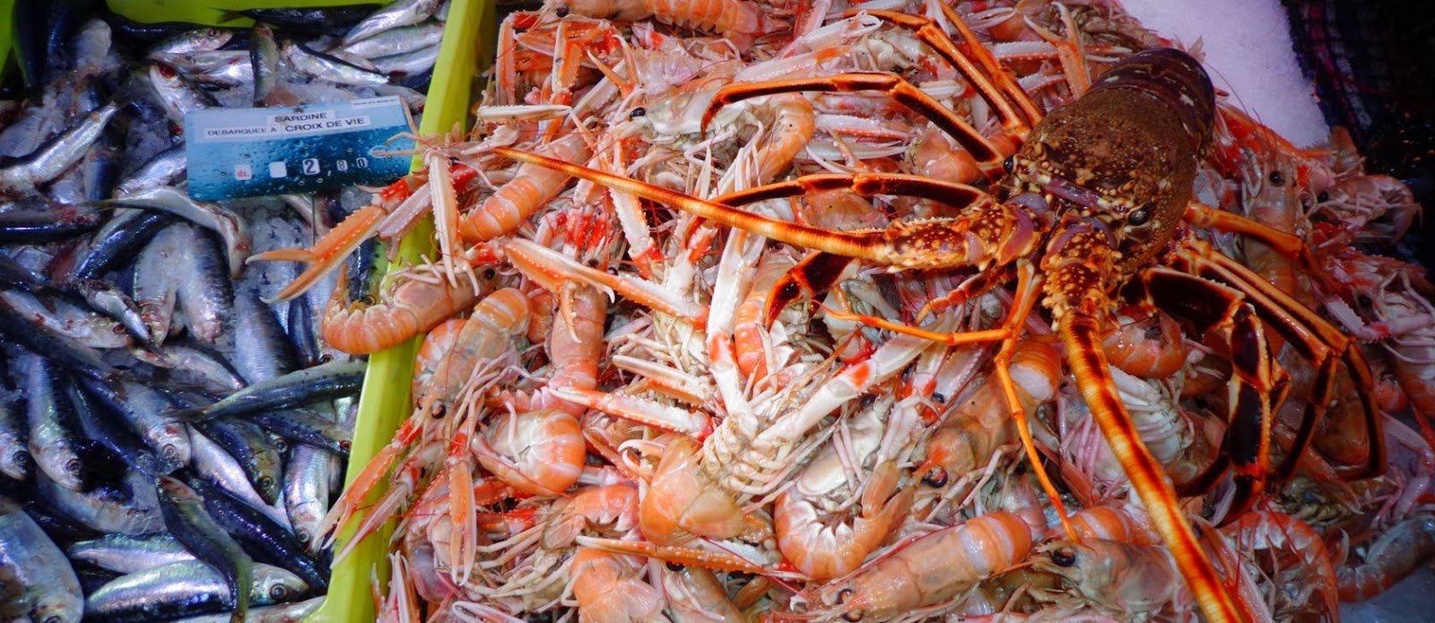 Paris Black & White: The Crozon Peninsula...A Traveller's Dream