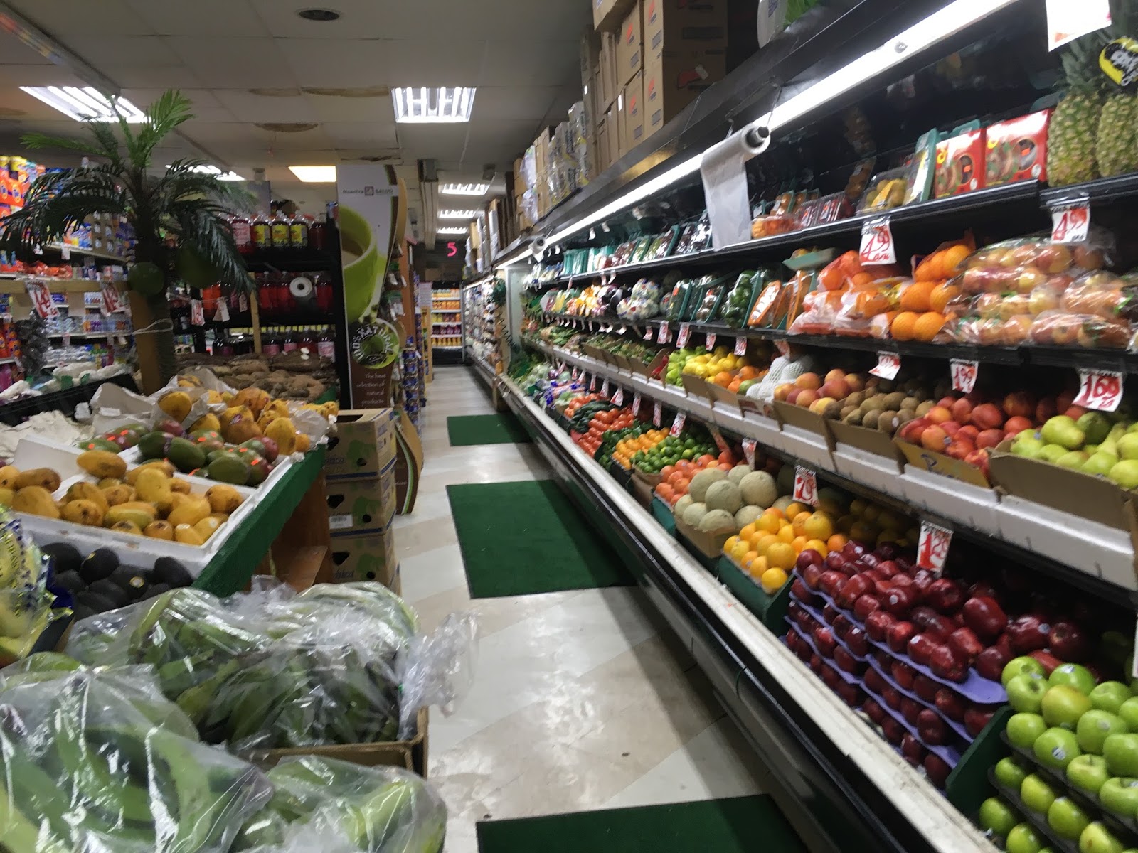 TOUR: Super Supermarket - WNY, NJ