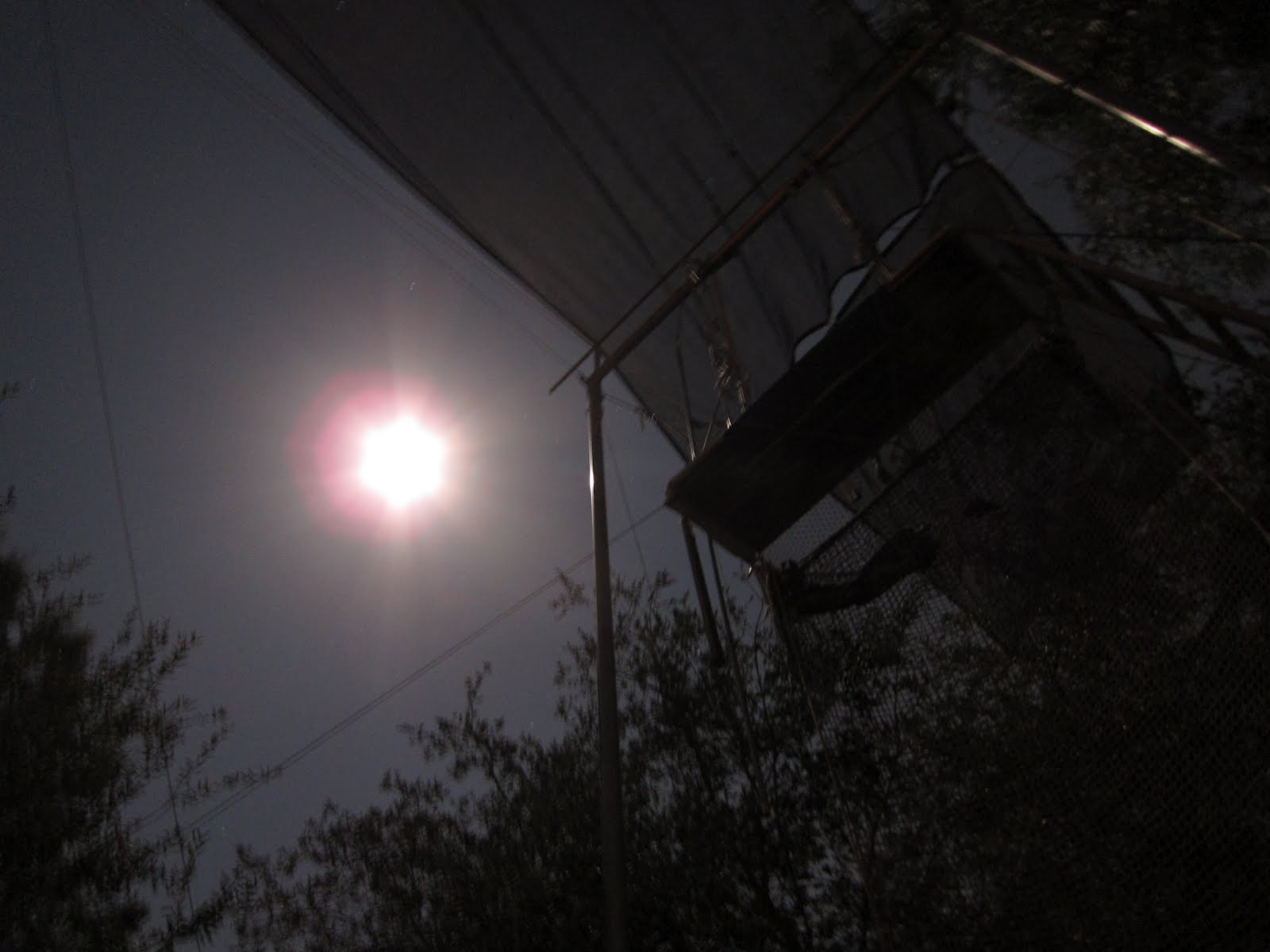 Sensory Overload: Flying Trapeze - Full Moon Swing