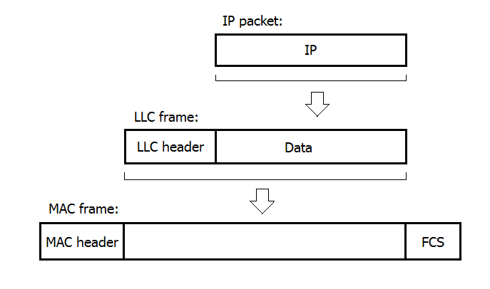 Electro-Magnetic World: Local Area Network - LAN