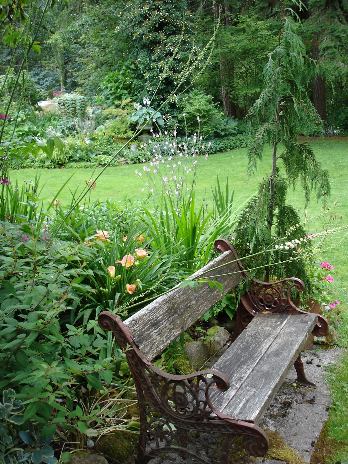 The Outlaw Gardener: Old Goat Farm