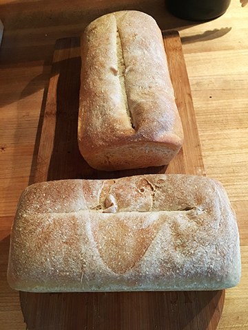 Feeding My Enthusiasms: Velvety Bean Bread For The Babes