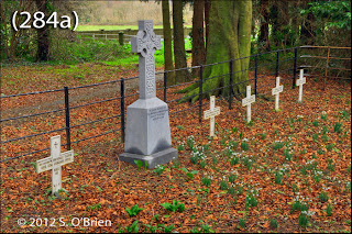 Portlaw: Last Mass at Woodlock Convent