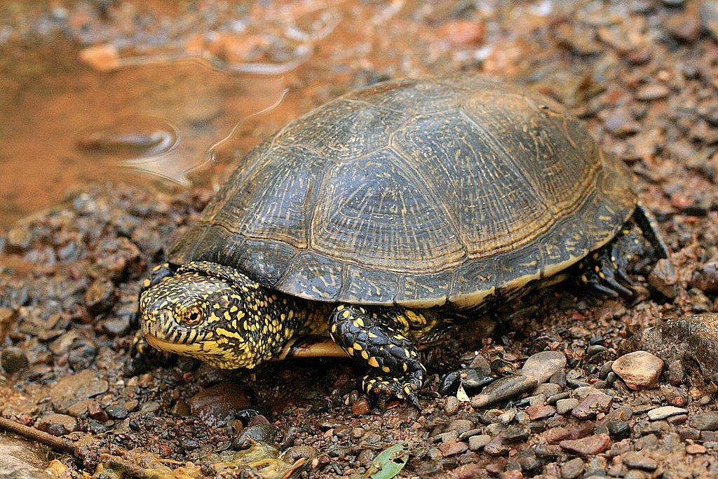 Natureza, Perfeição sem tamanho...