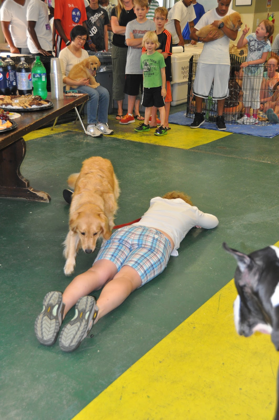 ECAD Service Dogs: Lu and Shannon Demonstrate a Narcolepsy Response Dog