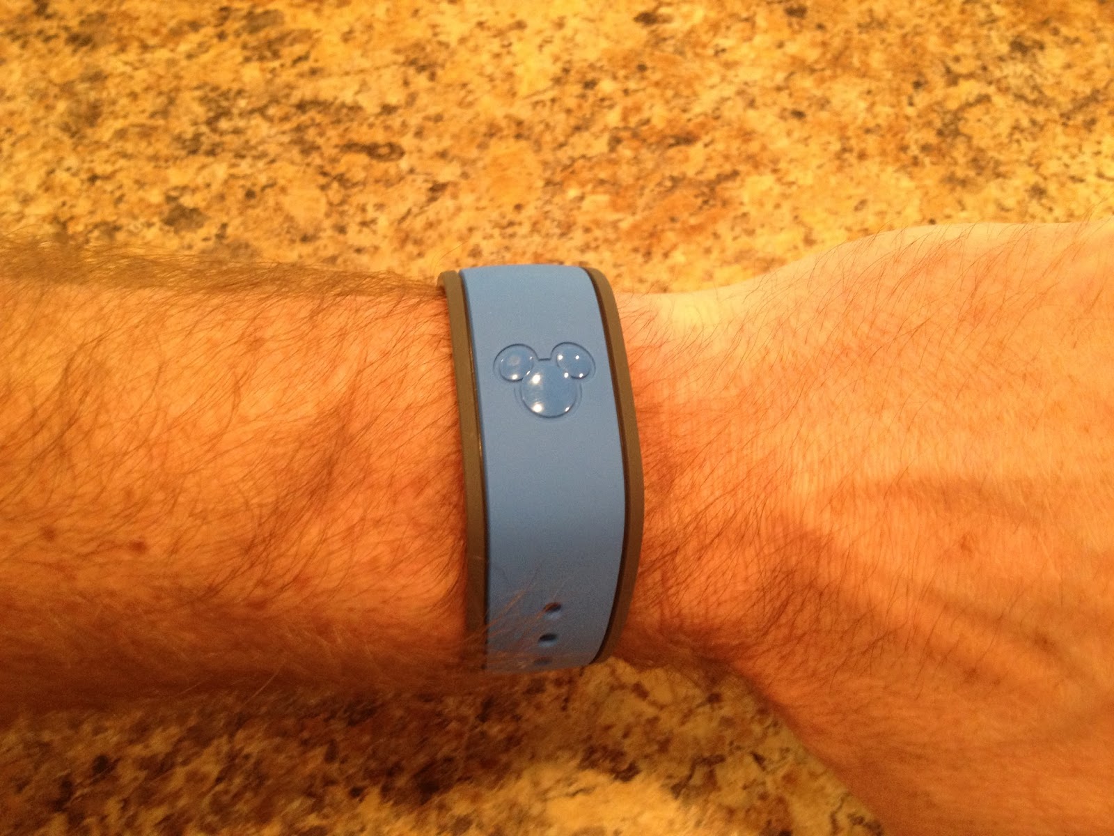 Be Their Guest: Our Magicbands have arrived!