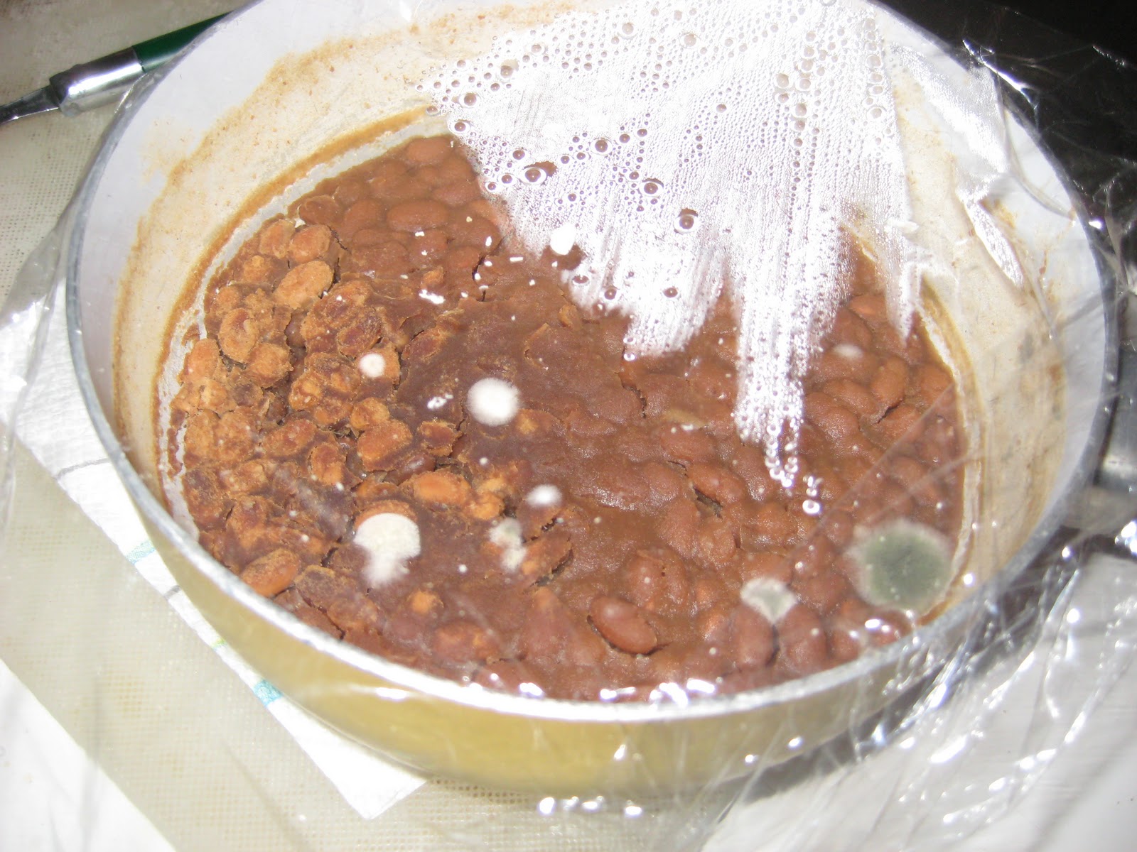 One Red Cent Trying to Make Sense: Spilling the Beans: A Hollywood Tale ...