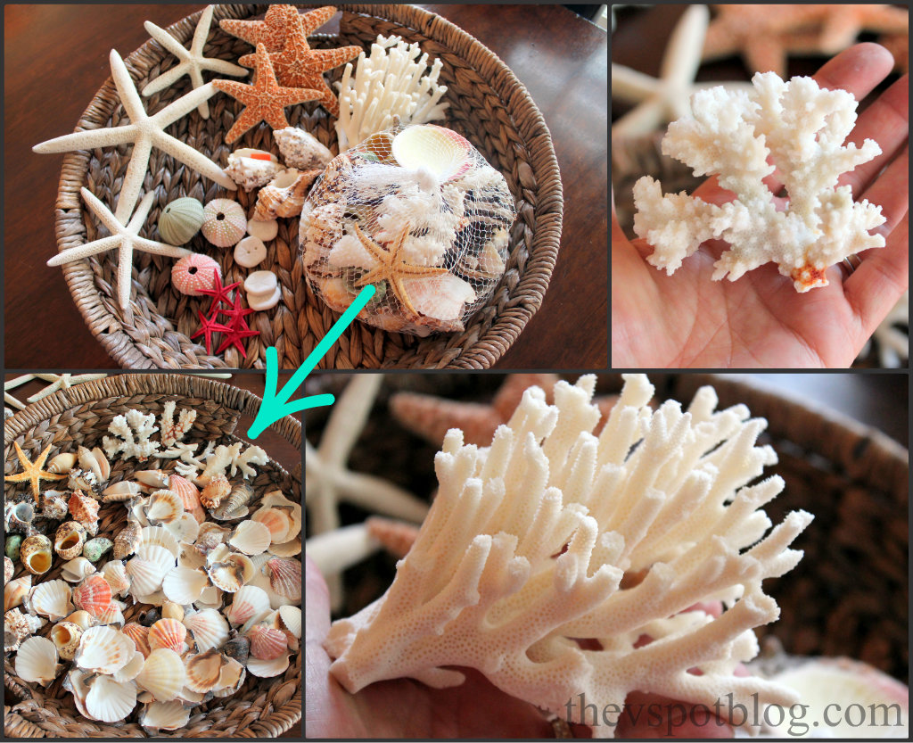 Using broken and smaller pieces of coral to create a summery, coastal ...