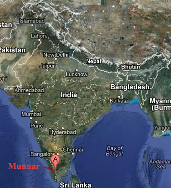 Munnar: A perfect destination for everyone - Techreo