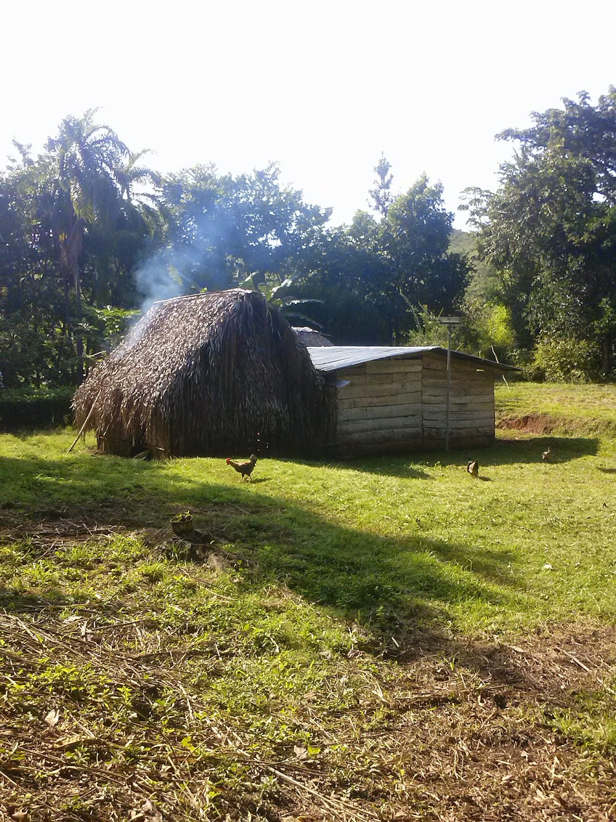 PUEBLO INTERIORANO... Rodrigo Valdés Cruz: LA CASA DE QUINCHA, UN ...