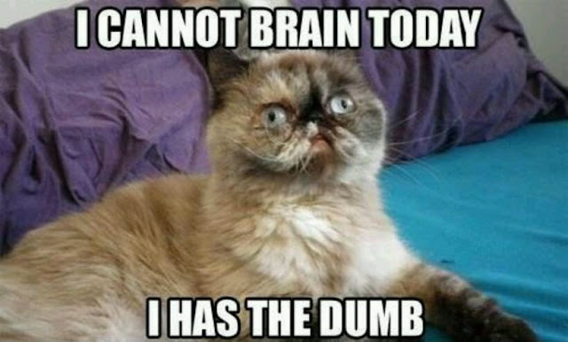 I cannot brain today, i has the dumb