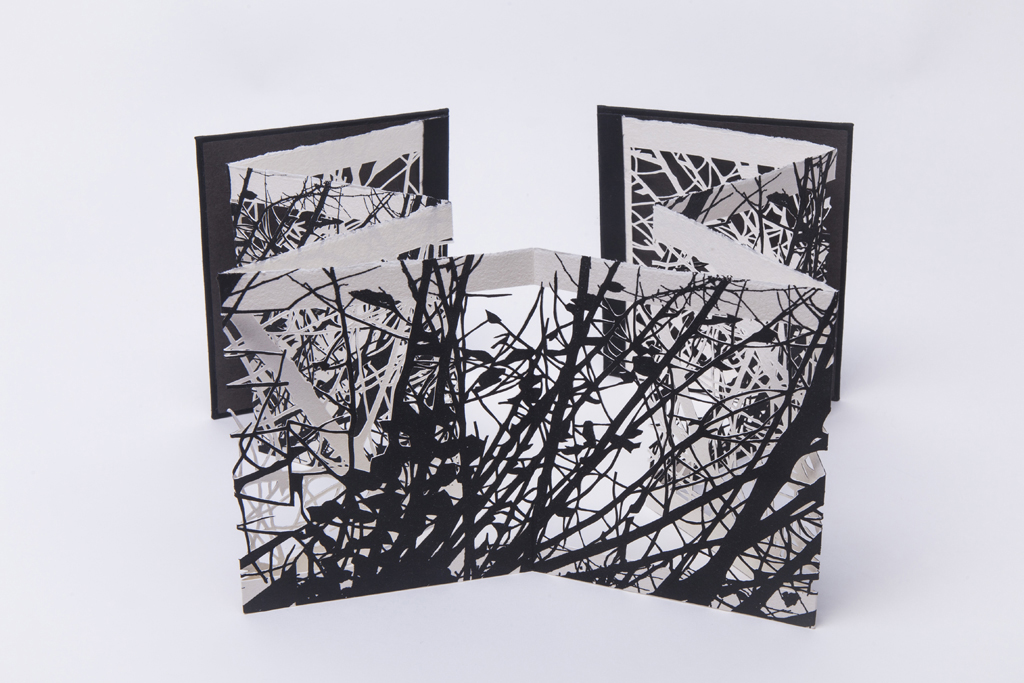 Crear y coleccionar libros de artista