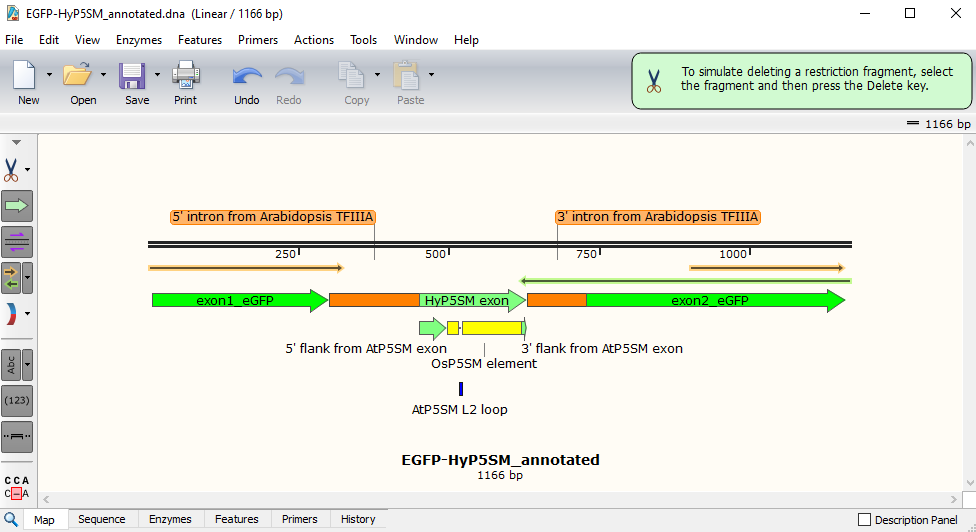 Snapgene viewer restriction digest - jzabin
