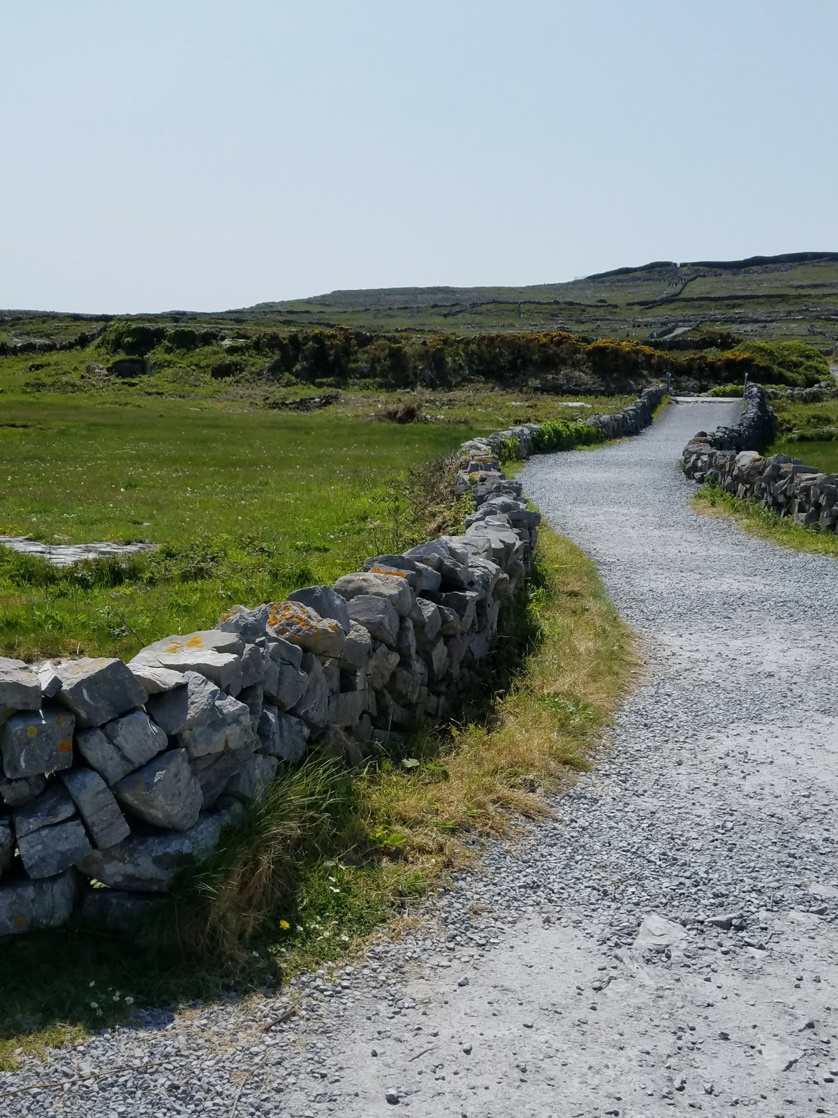 My Vintage Journeys: STONE FENCES & WALLS OF IRELAND