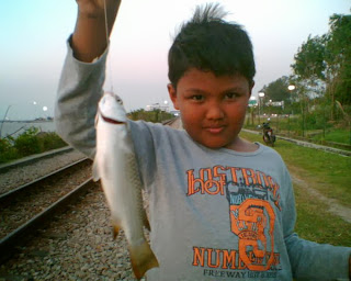 GOLDENSON Pancing Amatur Penang: Ikan Belanak - Mullet