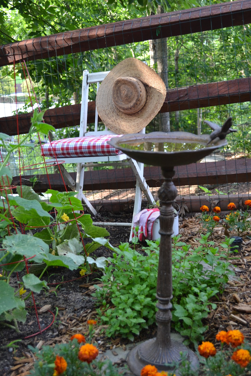 Three Pixie Lane: In the Garden