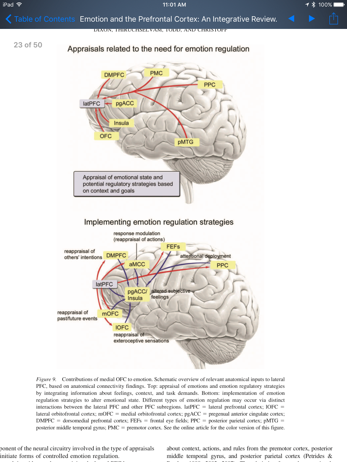 IQ's Corner: Emotion and the Prefrontal Cortex: An Integrative Review ...