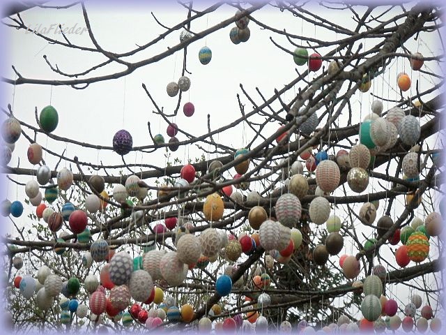 Lila-Flieder-Garten: Ostereierbaum in Saalfeld - Die Tradition lebt weiter!
