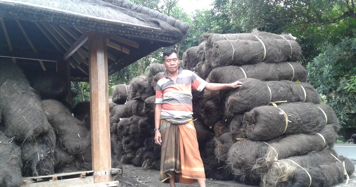 Berugak Atap Ijuk Gunung Sari Tahan Hingga Ratusan Tahun ~ Lombok Atraktif