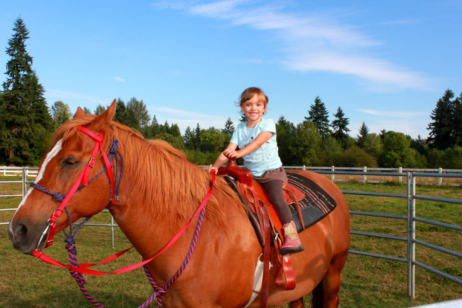 Guinn Family: My First Horsey Ride