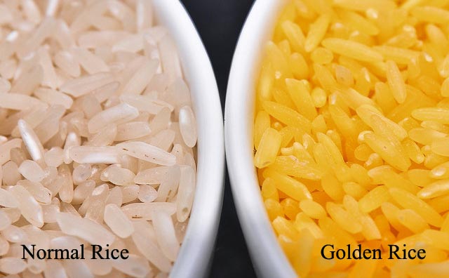 අසිරිමත් කෘෂි තාක්ෂණය : Amazing Agric. Technology: රන්වන් පැහැති සහල් ...