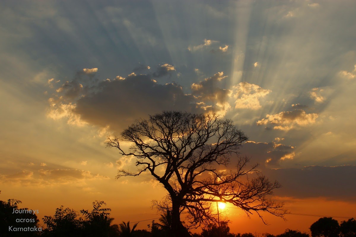 Journeys across Karnataka: Prehistoric Ash-mound of Hallur
