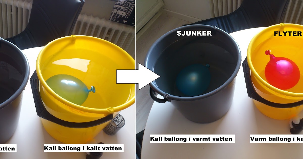 Naturvetenskap och teknik 2013: Kan vatten flyta/sjunka i vatten?