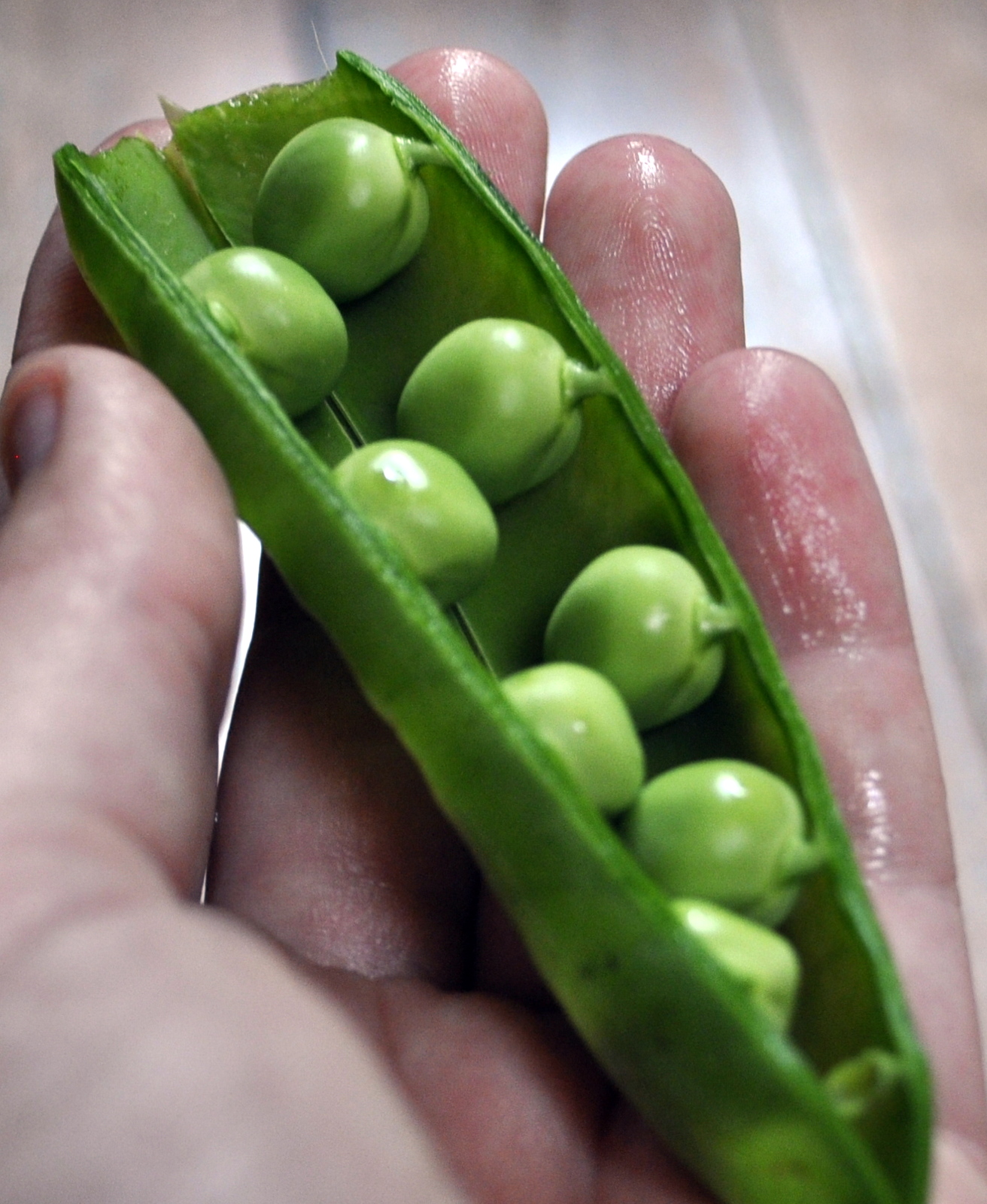 Nested Development: Seasonally spring: Sweet Peas